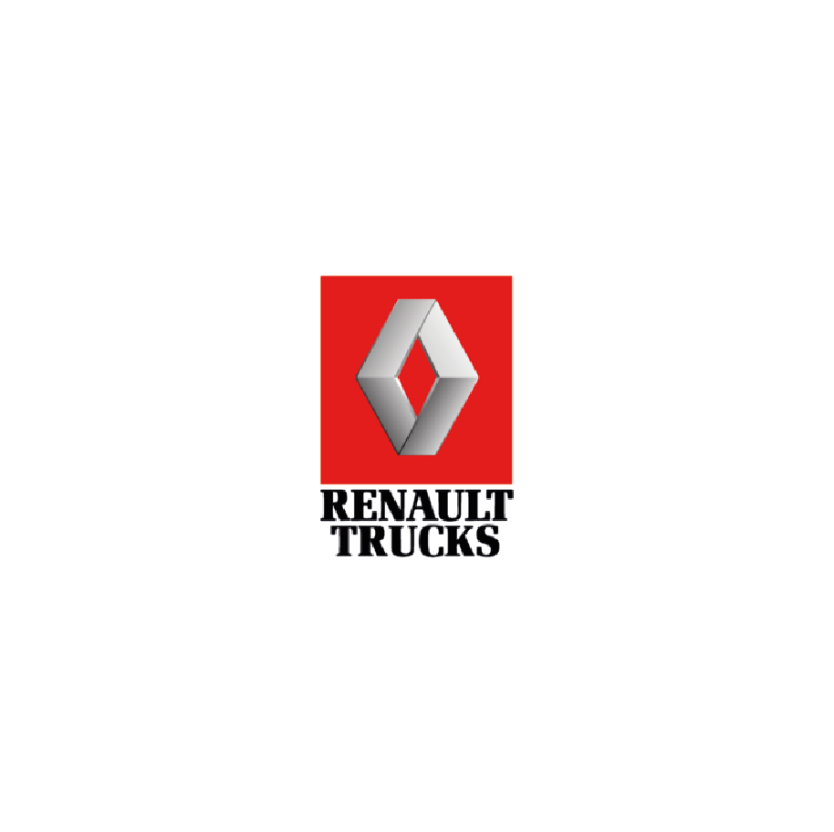 Zulla Consulting - The Lions